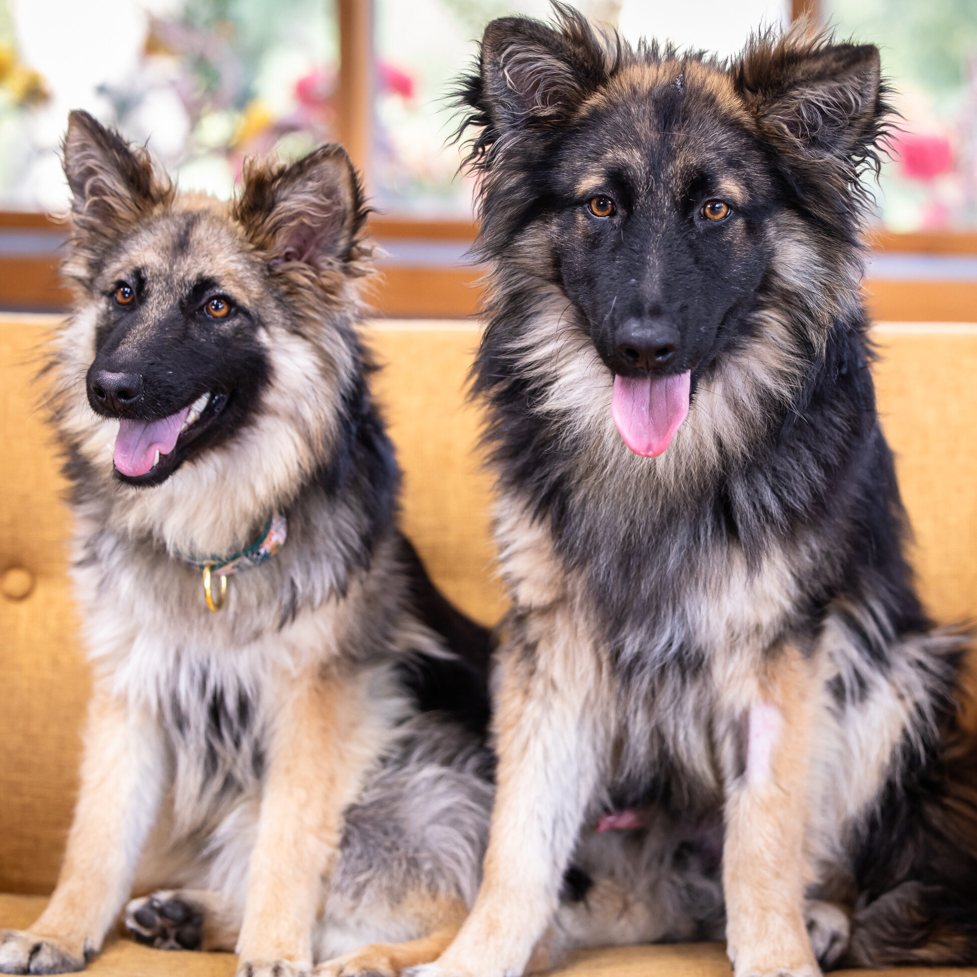 2025 Is Kicking Off With A Pang! - Paramount Australia & New Zealand ...